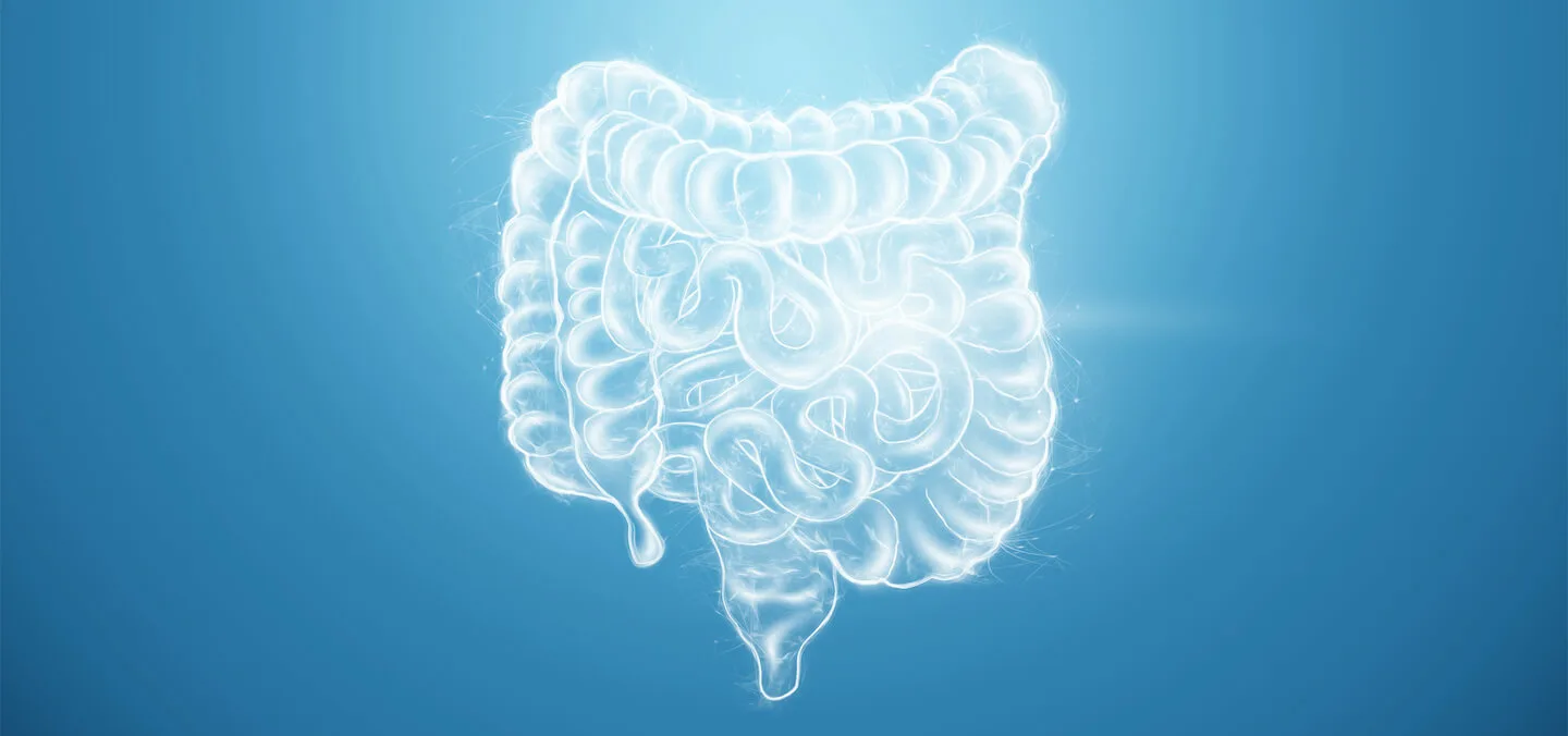 Clínica de Fisiología Digestiva - Corporativo Hospital Satélite - CHS